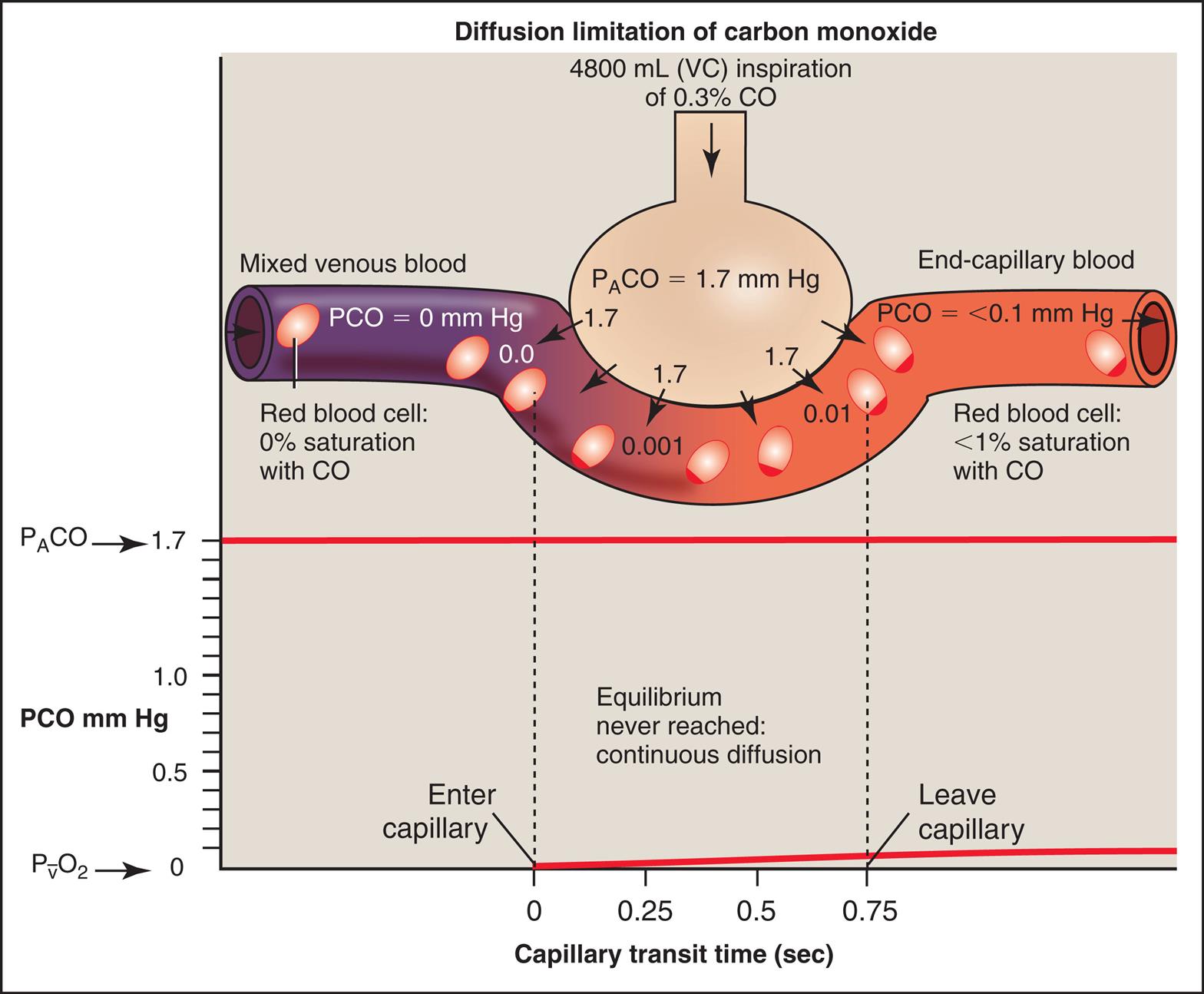7: Gas Diffusion