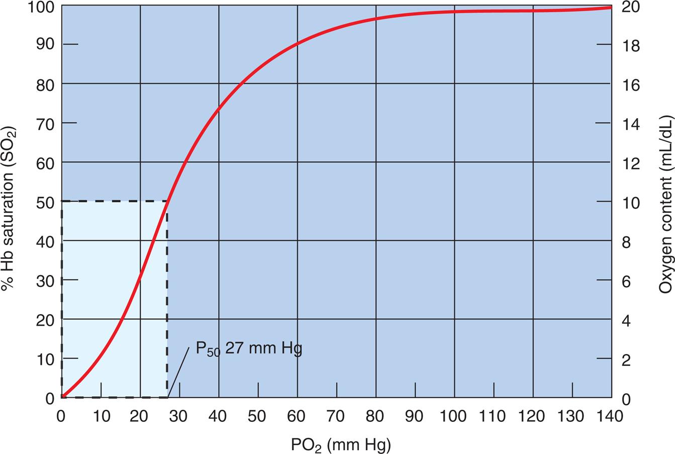 8: Oxygen Equilibrium and Transport
