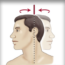 Parts of the Human Body