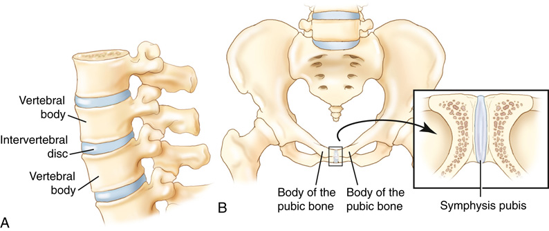 Classification of Joints
