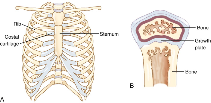 Classification of Joints