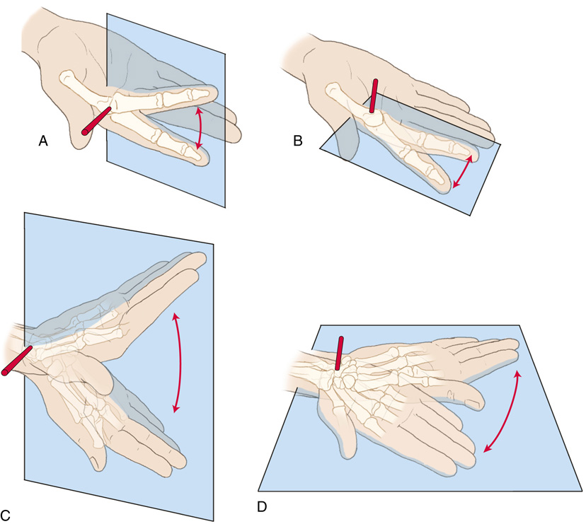 Classification of Joints