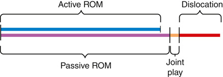 Types of Joint Motion and Musculoskeletal Assessment