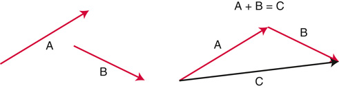 Biomechanics