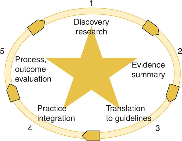 11: Evidence-Based Informatics