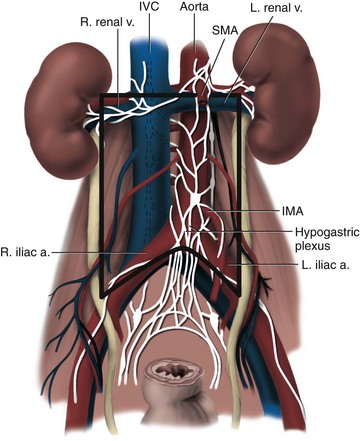 Campbell-Walsh Urology