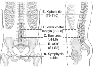 Bontrager’s HANDBOOK OF RADIOGRAPHIC POSITIONING AND TECHNIQUES