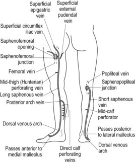 Clinical Cases and OSCEs in Surgery