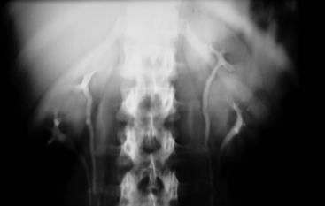 Comprehensive Radiographic Pathology