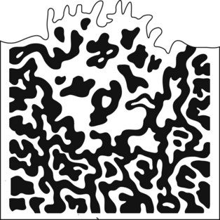 Dental Radiography: Principles and Techniques