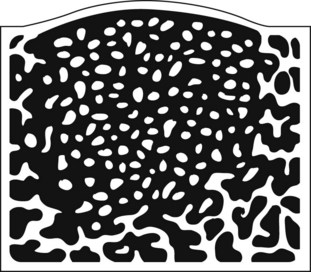 Dental Radiography: Principles and Techniques