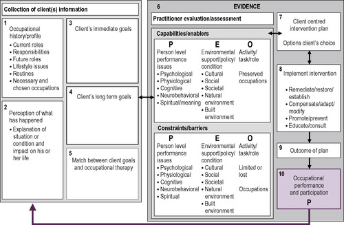 The Person–Environment–Occupational Performance (PEOP) Model