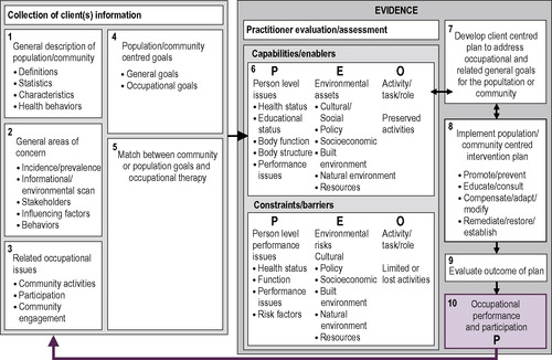 The Person–Environment–Occupational Performance (PEOP) Model