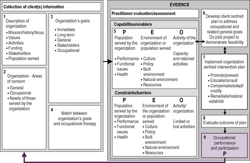 The Person–Environment–Occupational Performance (PEOP) Model