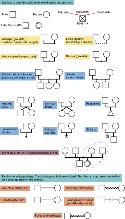 Health Promotion Throughout the Life Span