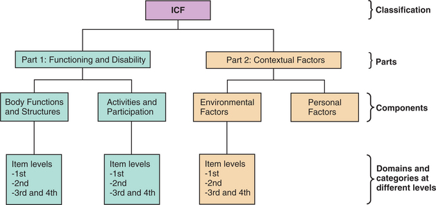 PATHOLOGY: Implications for the Physical Therapist