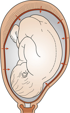 The first stage of labour