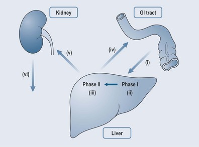 Pharmacology: A Handbook for Complementary Healthcare Professionals