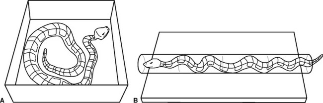 RADIOGRAPHY in Veterinary Technology