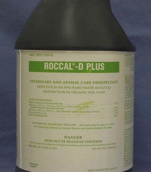 Small Animal Surgical Nursing: Skills and Concepts