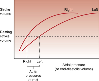 The Cardiovascular System: BASIC SCIENCE AND CLINICAL CONDITIONS