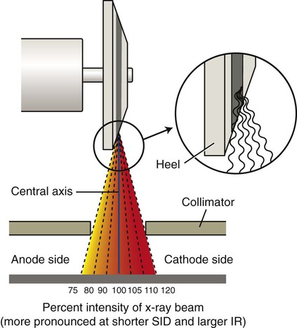 Textbook of Radiographic Positioning and Related Anatomy