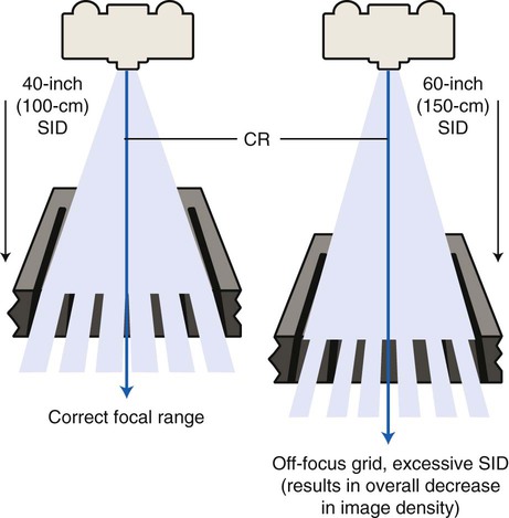 Textbook of Radiographic Positioning and Related Anatomy