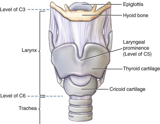 Textbook of Radiographic Positioning and Related Anatomy