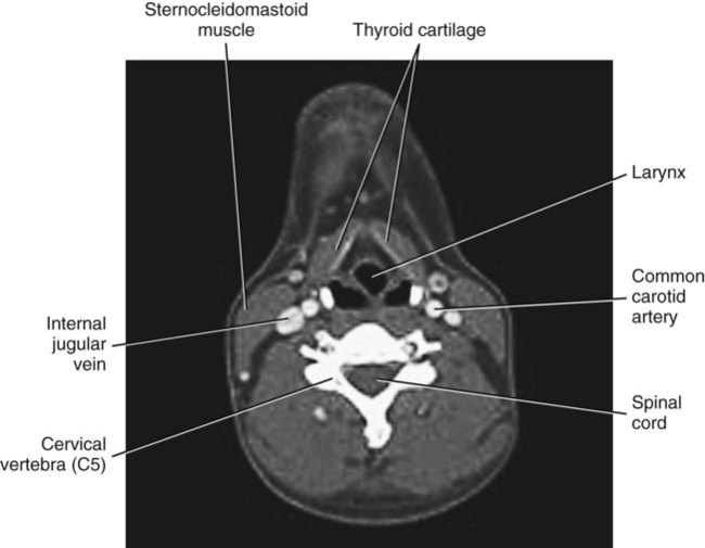 Textbook of Radiographic Positioning and Related Anatomy