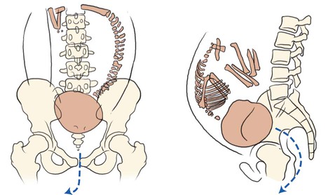 Textbook of Radiographic Positioning and Related Anatomy
