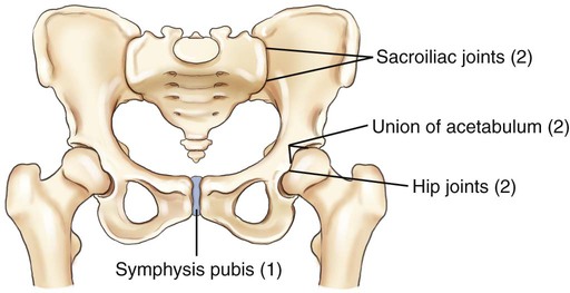 Textbook of Radiographic Positioning and Related Anatomy