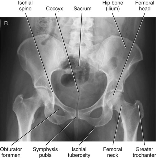 Textbook of Radiographic Positioning and Related Anatomy