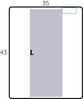 Textbook of Radiographic Positioning and Related Anatomy