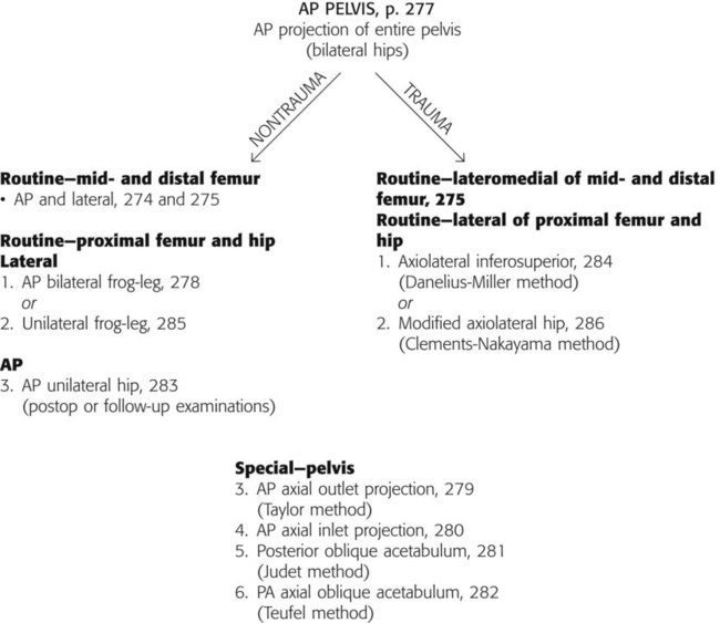 Textbook of Radiographic Positioning and Related Anatomy