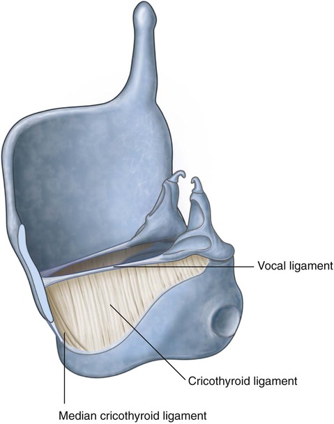 Gray's Anatomy for Students