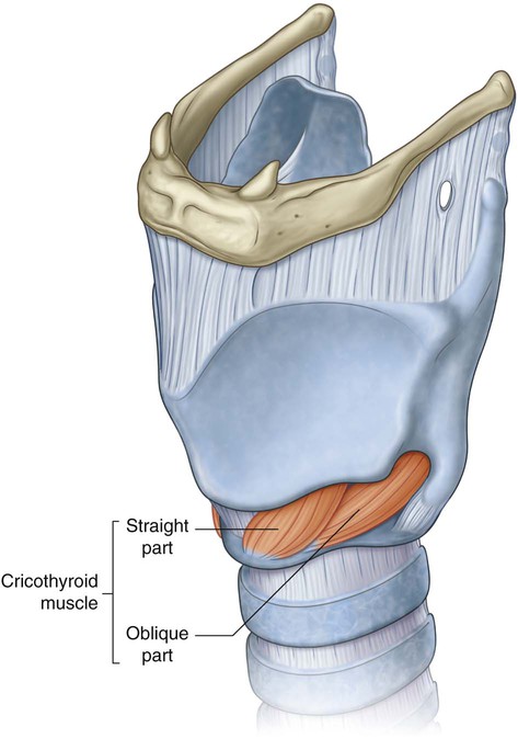 Gray's Anatomy for Students
