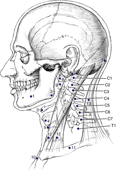 Principles and Practice of Radiation Therapy