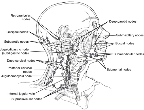 Principles and Practice of Radiation Therapy
