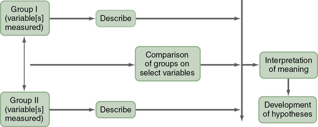 Understanding Nursing Research: Building an Evidence-Based Practice