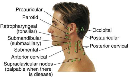Seidel's Guide to Physical Examination