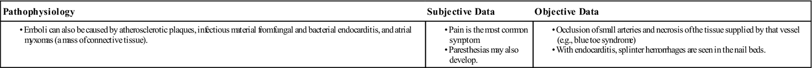 Seidel's Guide to Physical Examination
