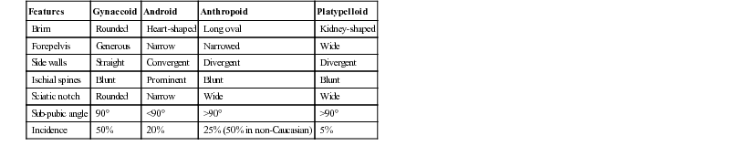 The female pelvis and the reproductive organs
