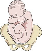 Physiology and care during the first stage of labour