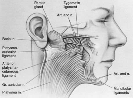 Plastic Surgery Secrets Plus