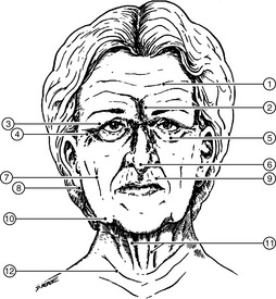 Plastic Surgery Secrets Plus