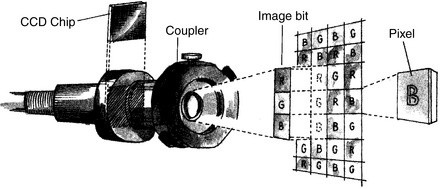 Plastic Surgery Secrets Plus