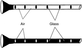 Plastic Surgery Secrets Plus