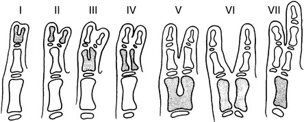 Plastic Surgery Secrets Plus