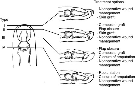 Plastic Surgery Secrets Plus