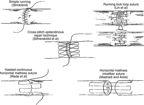 Plastic Surgery Secrets Plus